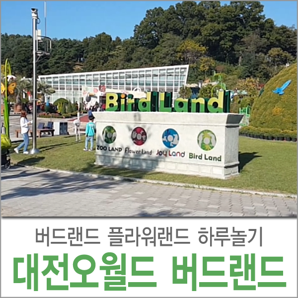 대전오월드 버드랜드 새는어디에 플라워랜드 포토존 네이버 블로그