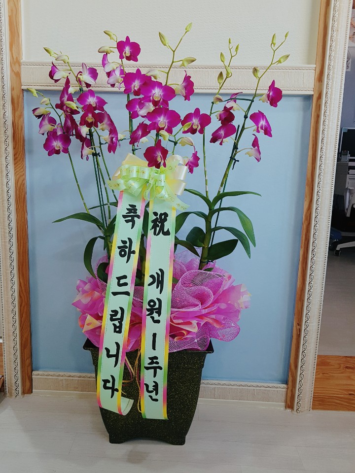 어느덧 1주년을 맞이한 월야 한의원 : 네이버 블로그