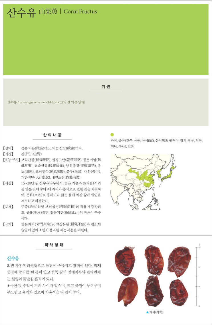 산수유, 山茱萸, Corni Fructus : 네이버 블로그