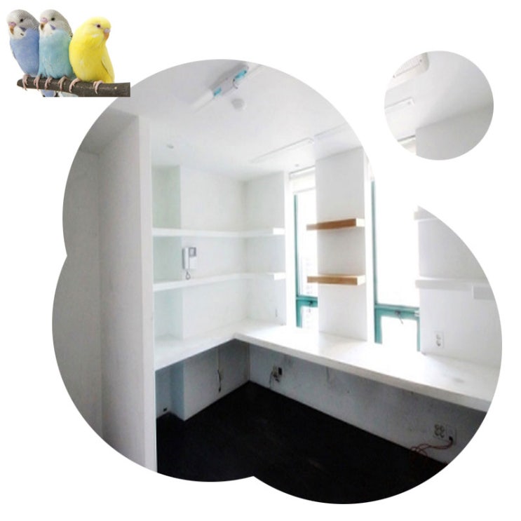 다이너마이트맨 Dynamite Man 확실하고 현명한 곳 : 네이버 블로그