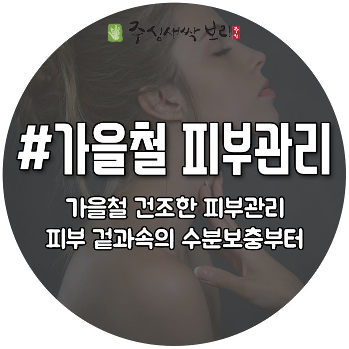 가을철 건조한 피부관리 꼭 알아둬야할 보습과 섭취에 대해 네이버 블로그