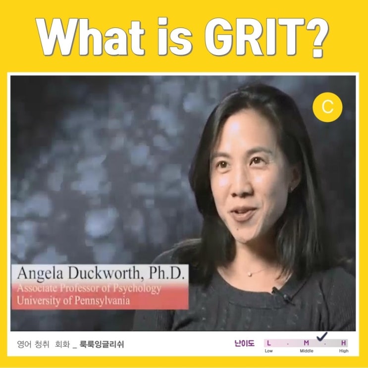 [영어청취|영어회화] What is Grit? 성공의 결정요소인 그릿이란 무엇인가? #룩쌤 #룩룩잉글리쉬 : 네이버 블로그