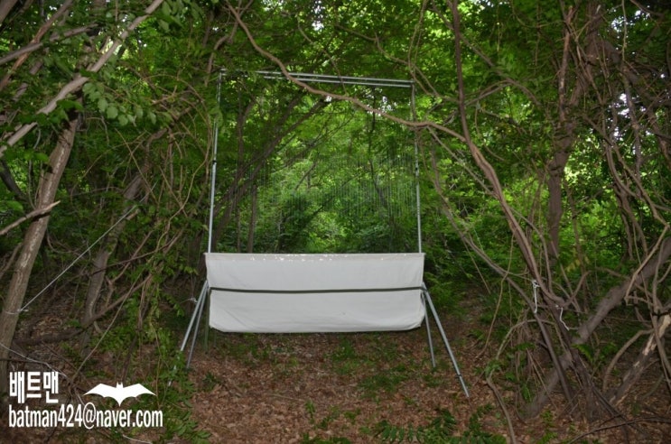 하프트랩(Harp trap)을 이용한 박쥐 포획 : 네이버 블로그