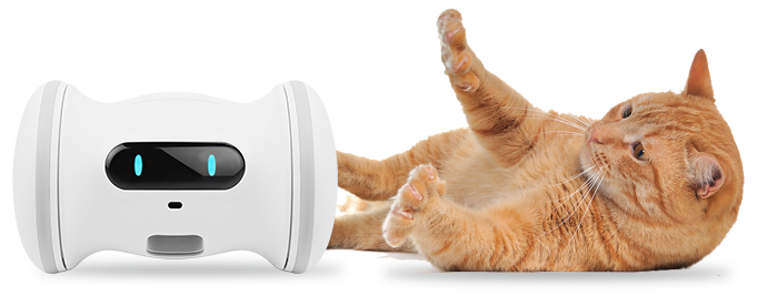 반려동물을 위한 피트니스 로봇 바람(VARRAM) : 네이버 블로그