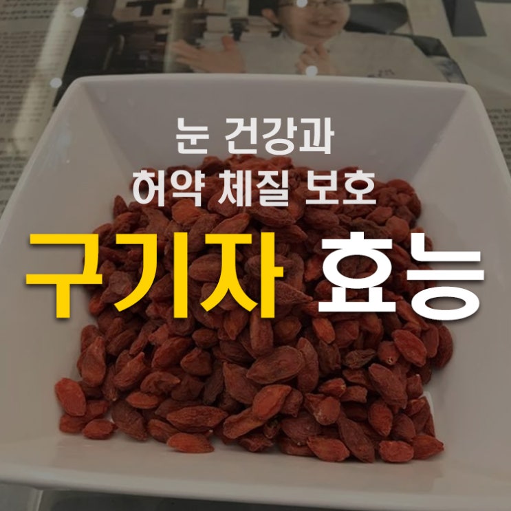 구기자 눈 건강과 허약 체질 보호 구기자차 구기주 한약차 네이버 블로그