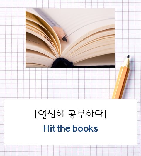 [한마디영어]Hit the books 열심히 공부하다 (일대일영어회화학원, 직장인영어회화) : 네이버 블로그