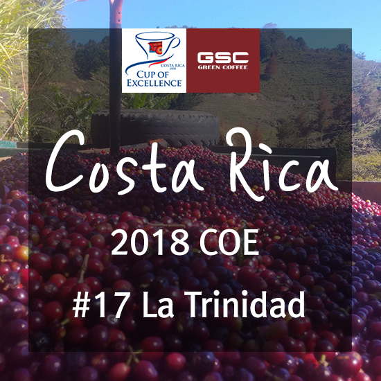 GSC 2018 코스타리카 COE #17 라 트리니다드 : 네이버 블로그