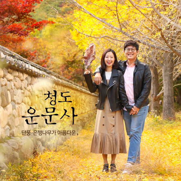 11월 부산 근교 가볼만한곳 청도 운문사 단풍 구경 은행나무와 함께 가을 정취에 흠뻑♥ 네이버 블로그