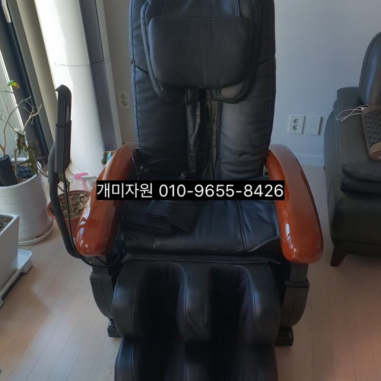 위례분당안마의자버리기안마의자수거폐기처분가정집에서 여러개의 화분폐기물버리는법 네이버 블로그