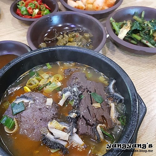 일산 장항동 철원양평해장국 선지해장국 잊지 못해~ 네이버 블로그