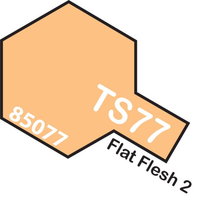 85077. 타미야 TS 도료 TS77 플랫 플래쉬 2 무광 타미야 컬러 스프레이 Flat Flesh 2 TS.77 : 네이버 블로그
