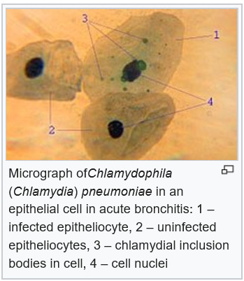 Chlamydia pneumonia : 네이버 블로그