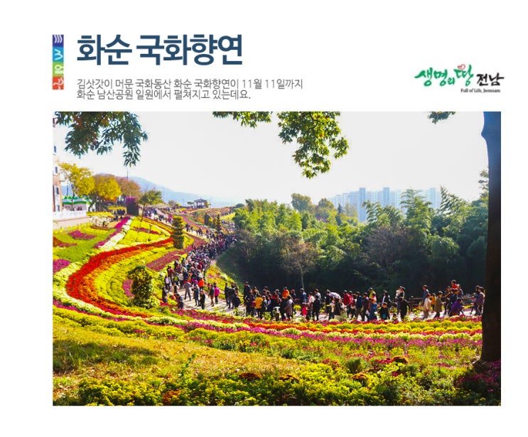 국화향기 가득한 화순 국화향연 가을여행 감동의 순간 네이버 블로그