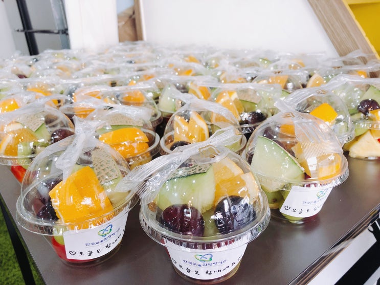 과일을담다 진천점 한국교육과정평가원컵과일s단체주문 오늘도감사합니다 진천컵과일진천어린이집간식진천유치원간식충북혁신도시