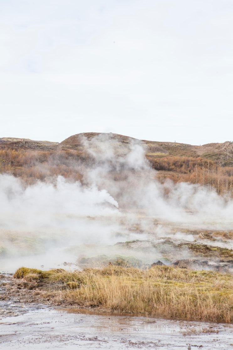 [ym store] re open! 와이엠 스토어 새롭게 오픈합니다. : 네이버 블로그