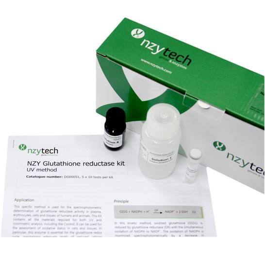 [글루타티온환원효소 측정/분석 키트] NZY Glutathione reductase kit [DG00051]_NZYTech ...