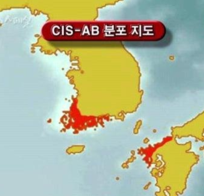 시스(cis) ab형 대한민국 국민만 가진 희귀혈액형! : 네이버 블로그