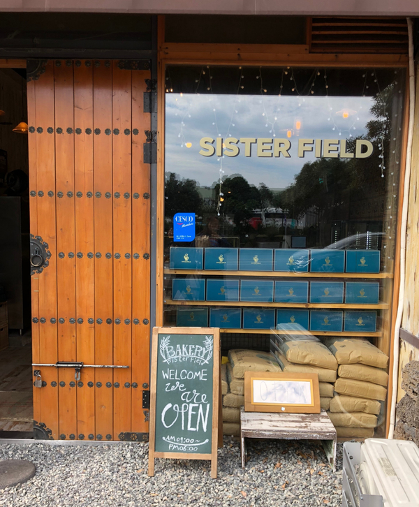 제주도 서귀포 유기농 빵집 맛집 시스터필드베이커리올레 10코스 마라도 가파도 선착장인 대정읍 모슬포항 운진항에 위치한 잠게스트