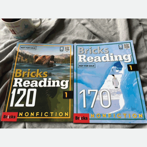 Bricks Reading 120 / 170 ♬ : 네이버 블로그