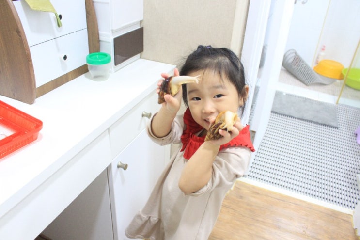 4살 딸과 함께 달팽이 키우기 껍질이 깨져서 죽을뻔했는데 이젠 알까지 낳았어요 네이버 블로그