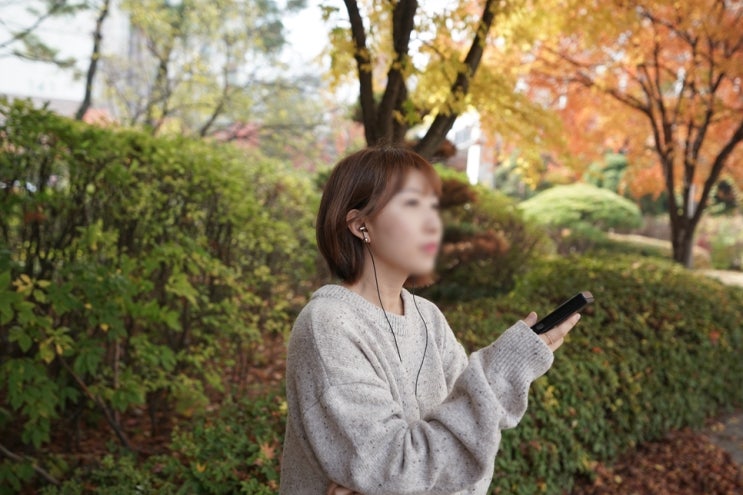 가성비 이어폰 파이널 E3000 E2000 비교후기 : 네이버 블로그
