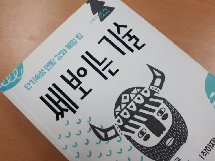 자기계발서 추천 소심한 사람들 주목 단기속성으로 멘탈 강해지는 법을 알고 싶다면 쎄 보이는 기술 목차 및 내용 정리