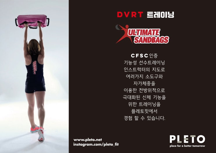세종시PT 트레이닝(12) DVRT [플레토핏] : 네이버 블로그