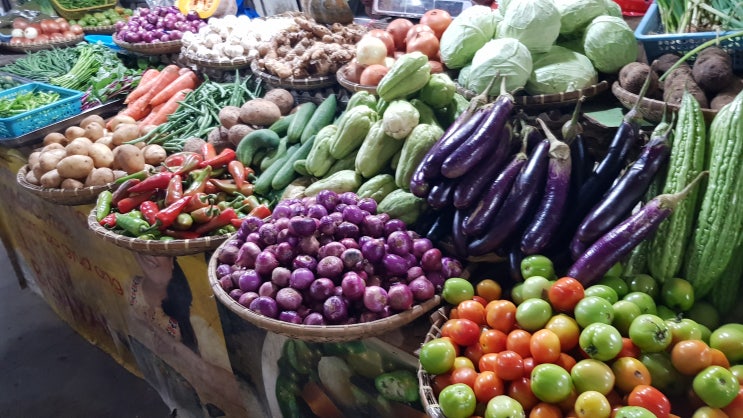 보홀 재래시장(다오마켓 /Dao Market) : 네이버 블로그