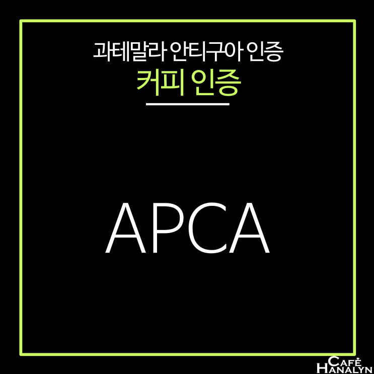 커피 인증 / APCA 인증 / APCA Certification : 네이버 블로그