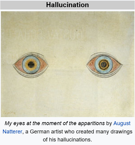 hallucination : 네이버 블로그