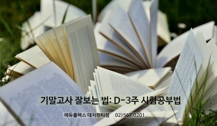 2학기 기말고사 시험 잘 보는 법 기말고사 D 3주 학습법 대치동 자기주도학습대치 한티 에듀플렉스 네이버 블로그