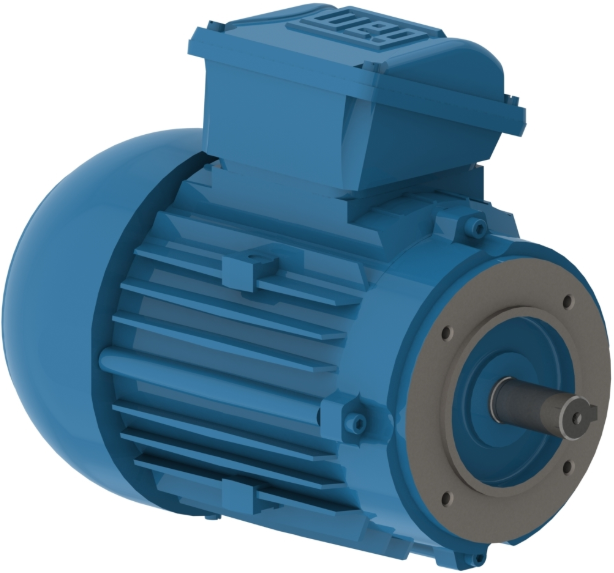 W22 IE3 0.25 kW 8P 80 3Ph 220-240/380-415//460 V 50 Hz IC411 - TEFC ...