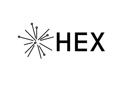 헬스케어 블록체인 플랫폼 헥스(HEX), 개인이 주도하는 건강정보 비즈니스 생태계 구성이 목표 : 네이버 블로그