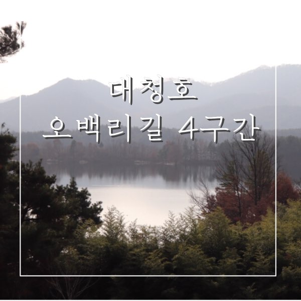 대청호 오백리길 4구간 추동습지 전망좋은곳 대청호 자연생태관 대청호 자연 수변공원 네이버 블로그
