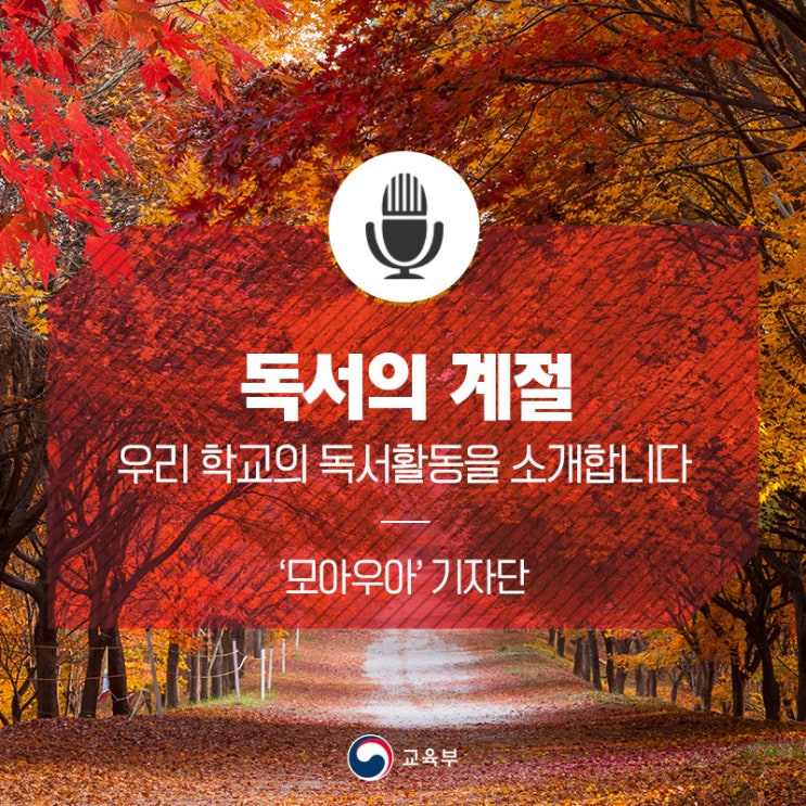 독서의 계절 가을 우리 학교의 독서활동을 소개합니다 네이버 블로그