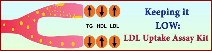 LDL Uptake Assay Kit is BACK!_BioVision - 코아사이언스 : 네이버 블로그
