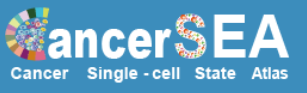 [세포 Cell] 세포 하나 하나 너를 알고 싶다 2 (Single cell RNA-sequencing/단일세포 RNA시퀀싱 ...