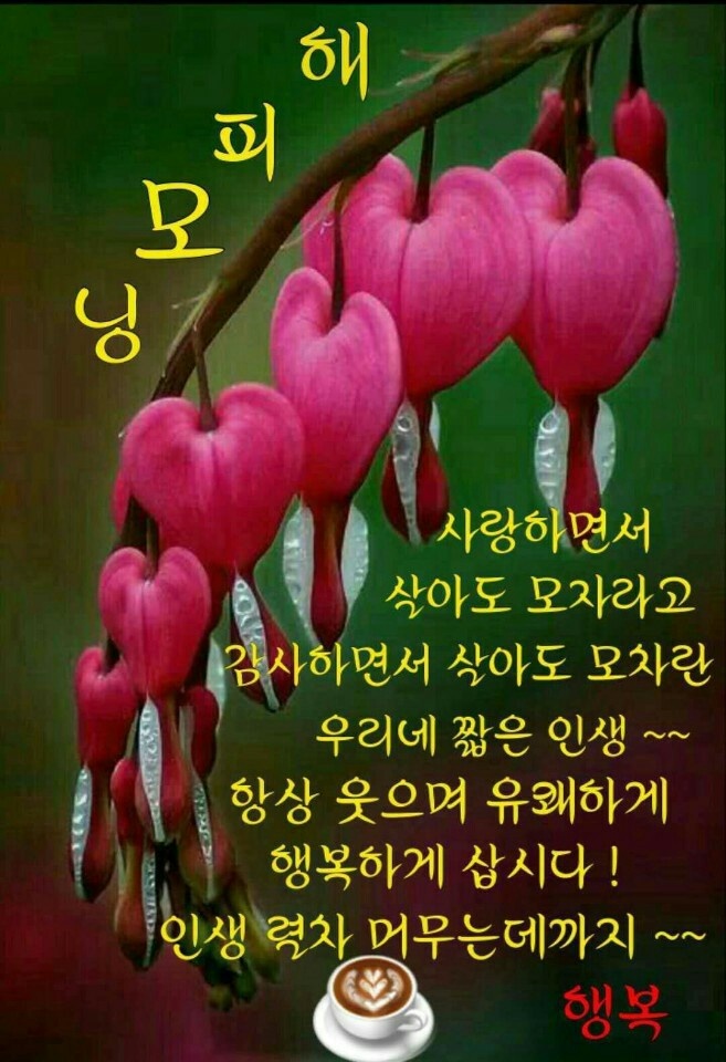 `해피 모닝 : 네이버 블로그