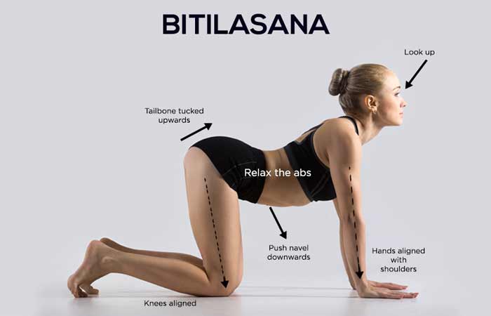 민망한 요가자세 시리즈2 고양이 소자세 Marjaryasana Bitilasana 알아보자 네이버 블로그