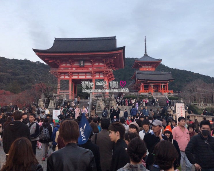 5박6일 오사카 여행 4일차d 교토 당일치기간사이미니패스교토 1일 승차권니시키 시장텐동 맛집 마키노니넨자카