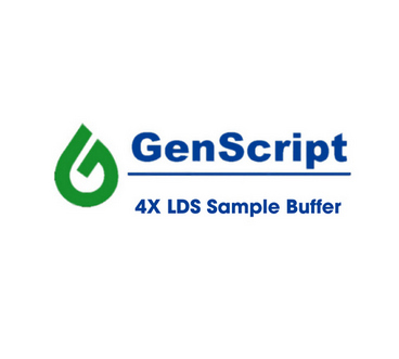 GenScript 4X LDS sample buffer 샘플 로딩 버퍼 : 네이버 블로그