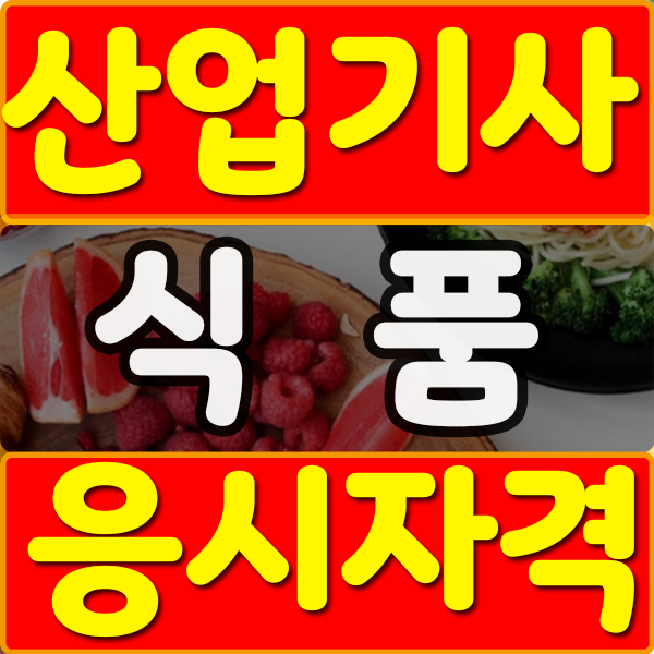 식품산업기사 응시자격 보건직공무원 도전 식품위생감시원 자격 요건도 가능하다 네이버 블로그
