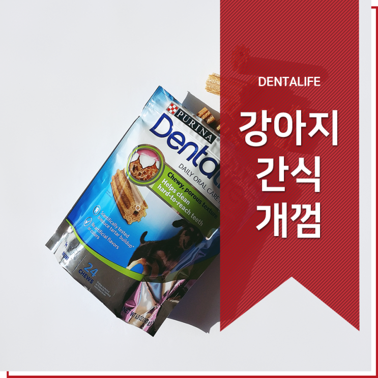 강아지치석제거 퓨리나 덴탈라이프 체험 키트 덴탈껌 네이버 블로그