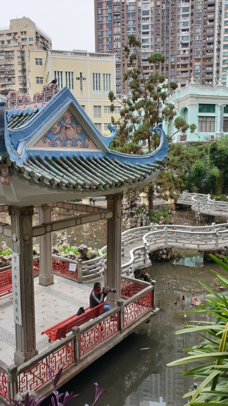 마카오볼거리 로우림옥 정원 Lou Lim Ioc garden : 네이버 블로그