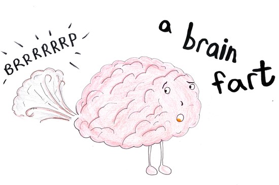 “Brain fart” : 네이버 블로그