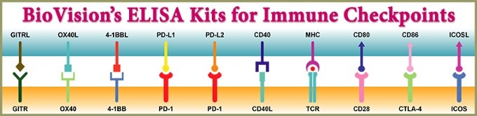 BioVision’s ELISA Kits For Immune Checkpoints_BioVision - 코아사이언스 : 네이버 블로그