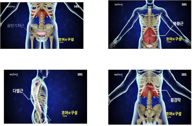 Core에서 Local muscle과 Global muscle : 네이버 블로그
