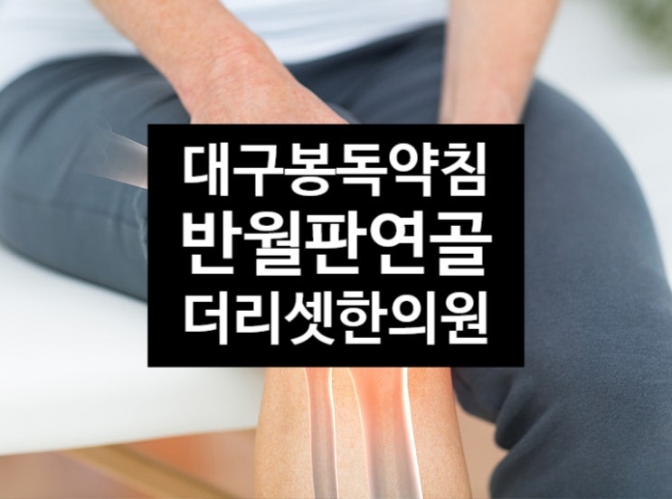 대구봉독요법한의원 대구무릎한의원 퇴행성 반월판 연골 파열 치료에 대해서 알려드립니다 네이버 블로그