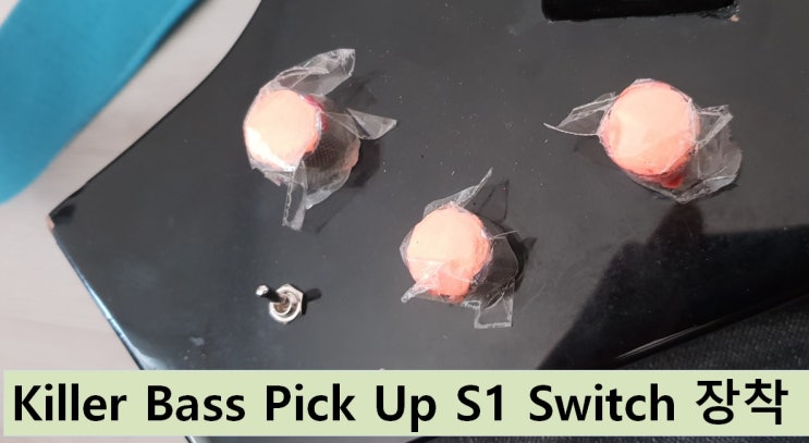 Bass S1 switch 장착 : 네이버 블로그