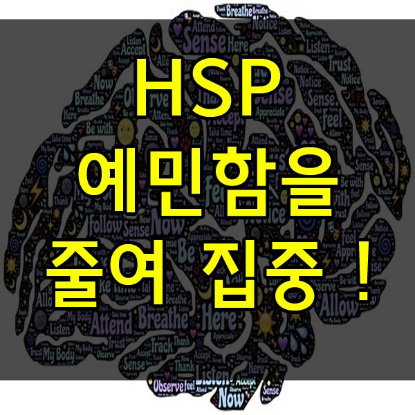 HSP란 ? 공부를 방해하는 예민함을 잡아라 ! 개선 및 예방법 ! : 네이버 블로그